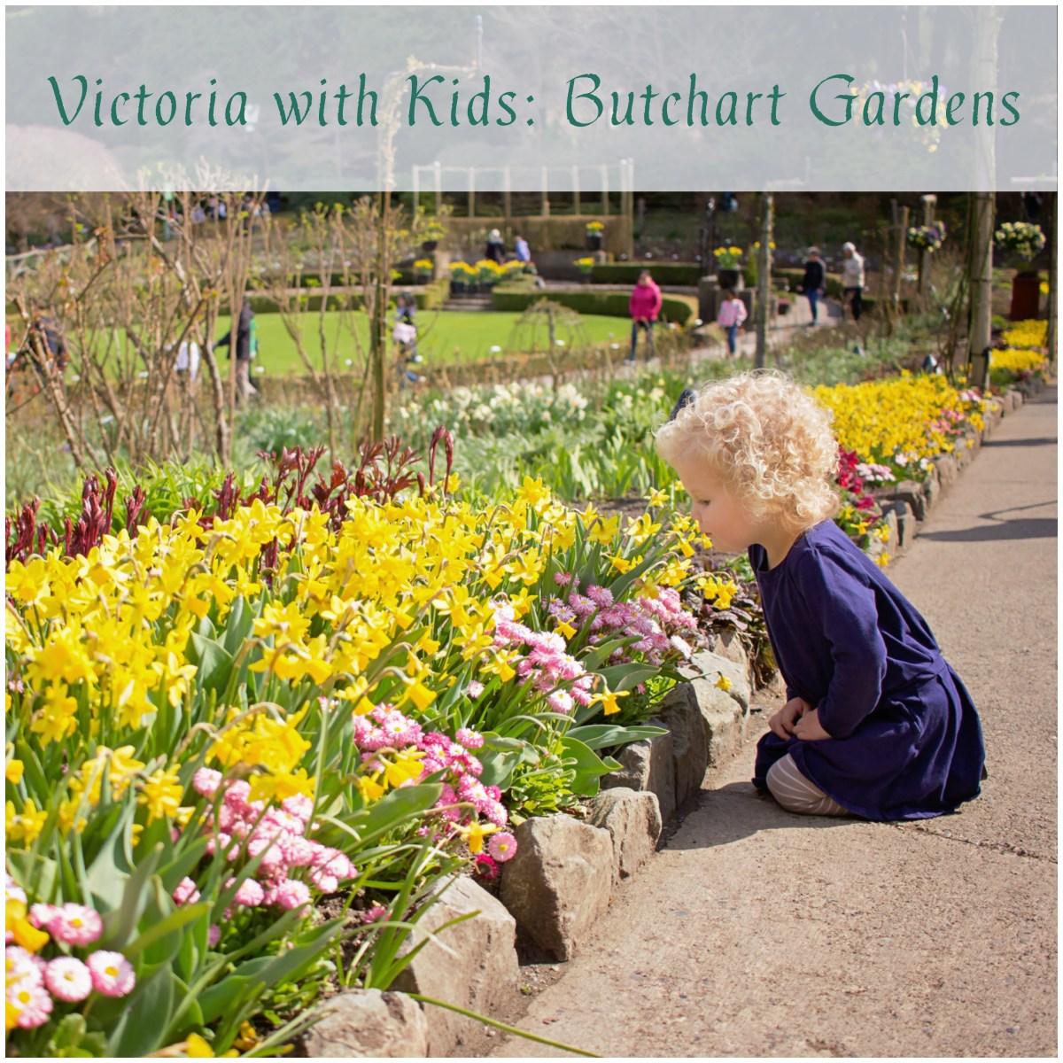 Victoria with Kids: Butchart Gardens – Daley Family Travels