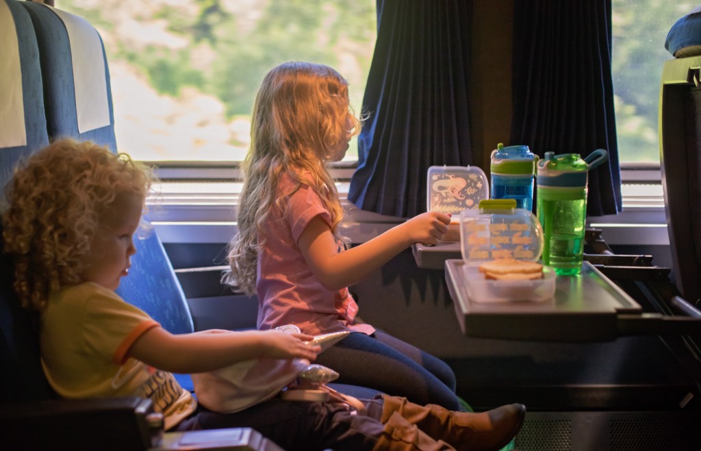 Amtrak with Kids: WA to CA – Daley Family Travels