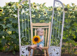 Rutledge Family Farm Sunflower Festival – Daley Family Travels